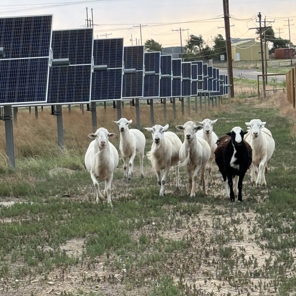 Stories - Farm-To-Power